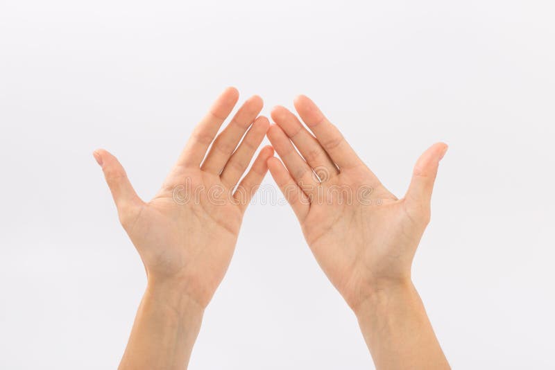 Female Hands on a White Background. Gestures Stock Photo - Image of ...