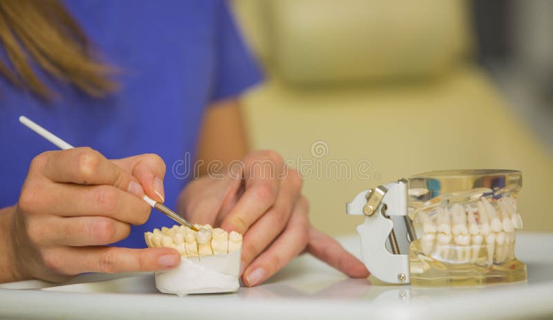 Female Hands Work in the Laboratory Stock Image - Image of hands ...