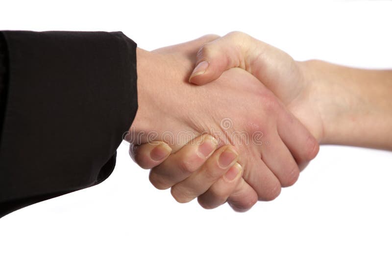 Female handshake stock photo. Image of looking, professional - 5140168
