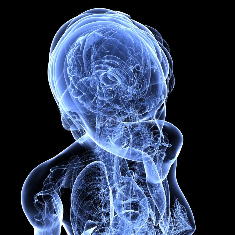 Female head stock illustration. Illustration of anatomy - 14526153