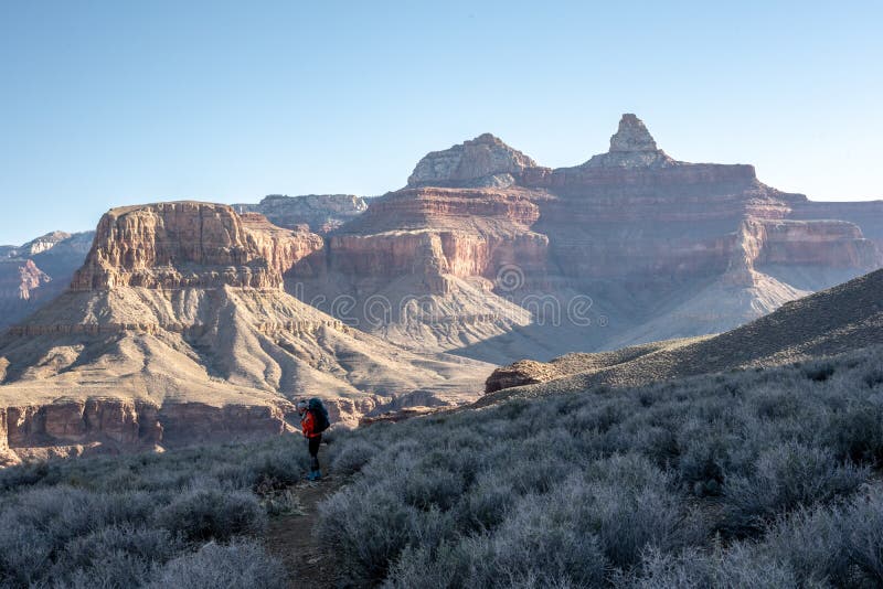 Female Hiker in Grand Canyon Looking Back Stock Photo - Image of rock ...