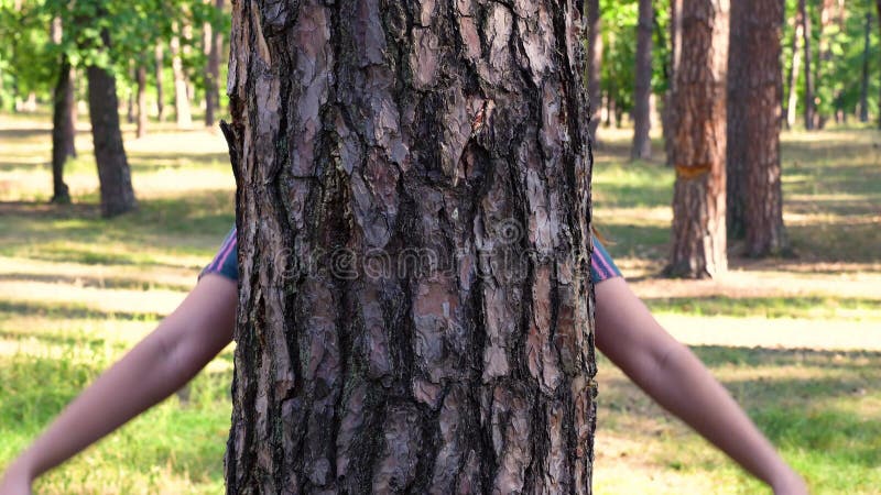 Female Hugging a Tree in the Forest Stock Video - Video of activist ...