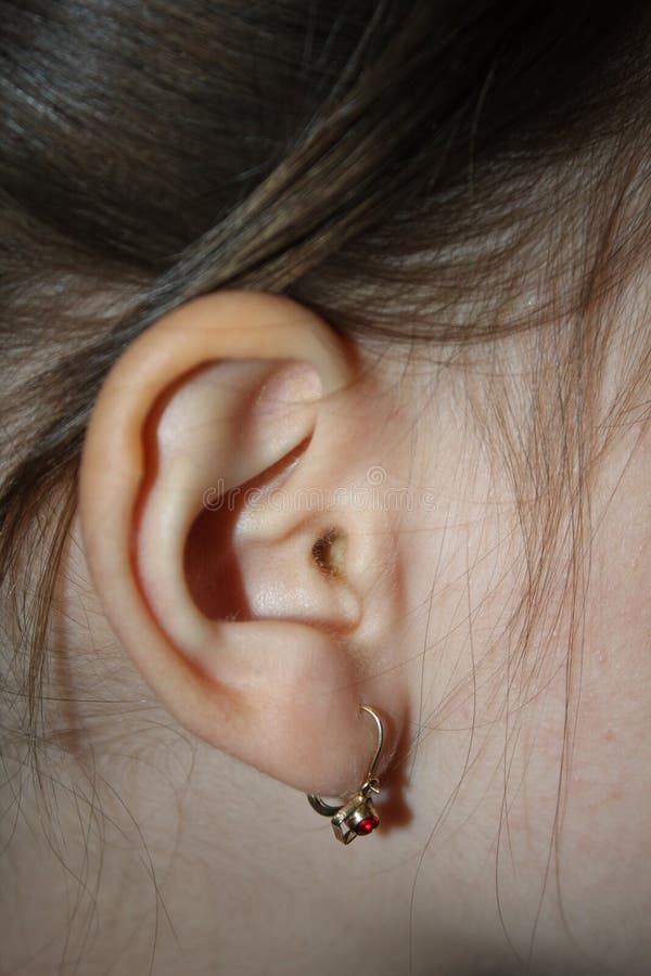 Female Human Ear and Hair Close Up Stock Image - Image of doctor ...