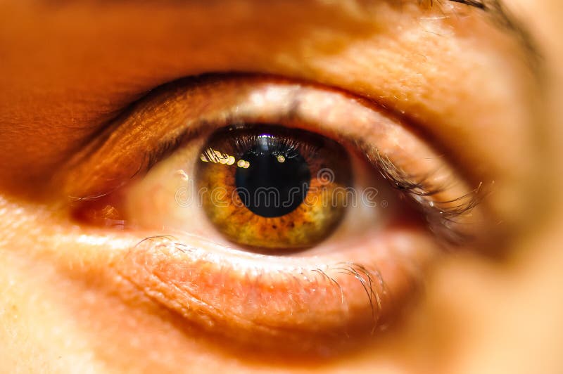 Female Human Eye Close Up stock photo. Image of eyelid - 52310272