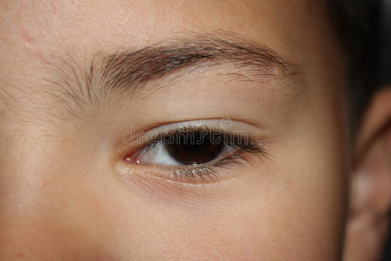 Female Human Eye and Hair Close Up Stock Photo - Image of medicine ...