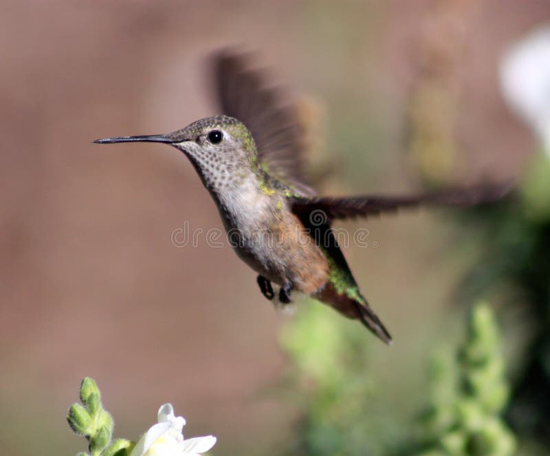 Model of the jet engine stock image. Image of drive, mechanic - 10762943