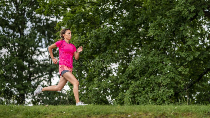 Female Jogger on a Track between Trees Stock Photo - Image of jogger ...