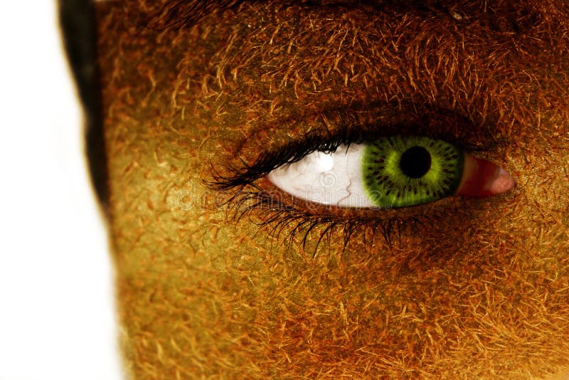 Female kiwi fruit face. stock image. Image of freshness - 16998553