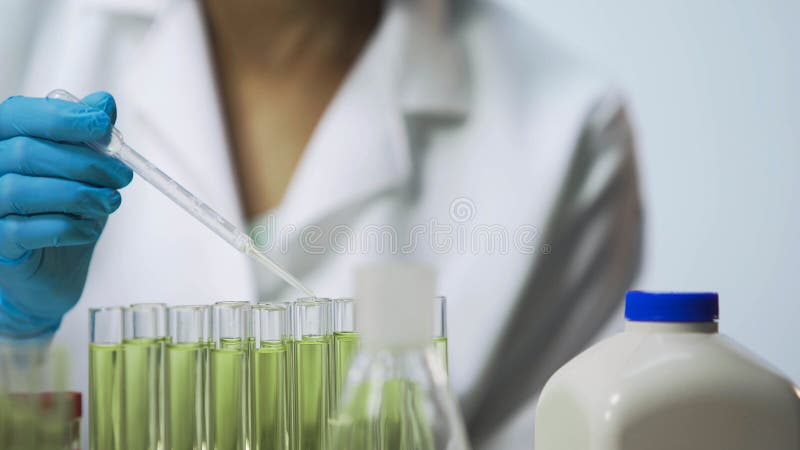 Female Lab Analyst Checking Biological Material on Viruses Using ...