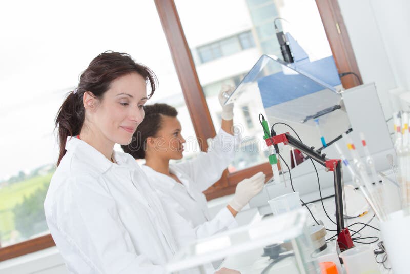 Female Lab Technicians Work on Samples Stock Photo - Image of chemistry ...