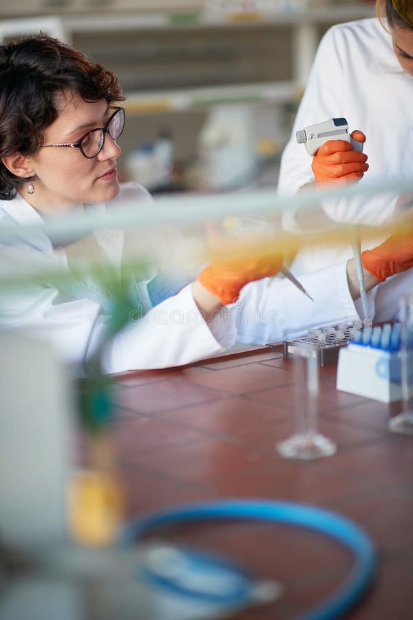 Female Lab Worker Working in Lab Stock Image - Image of analyze ...