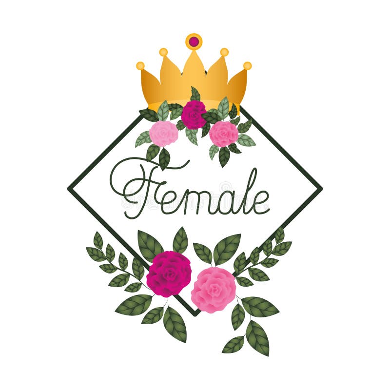 Female Label with Roses Frame Icons Stock Vector - Illustration of ...