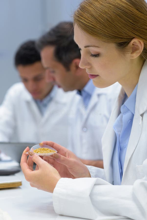 Female Laboratory Assistant in Laboratory Food Quality Stock Photo ...