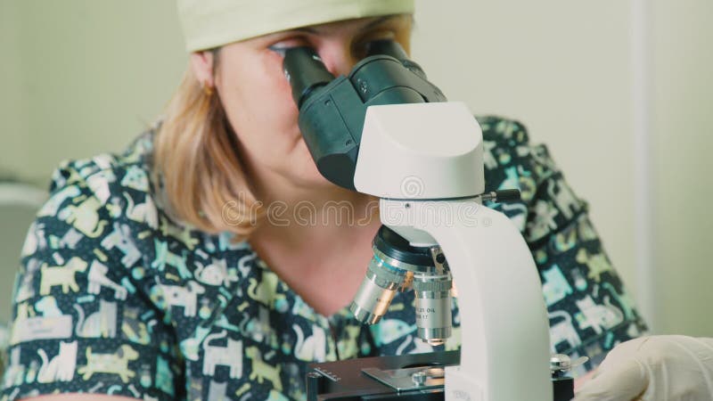 A Female Laboratory Assistant Looks into a Microscope in a Laboratory ...