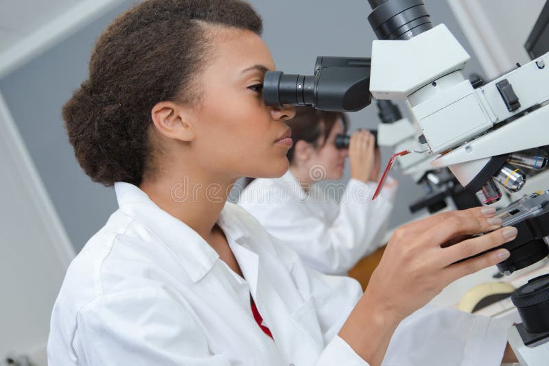 Female Laboratory Worker Looking into Microscope Stock Image - Image of ...