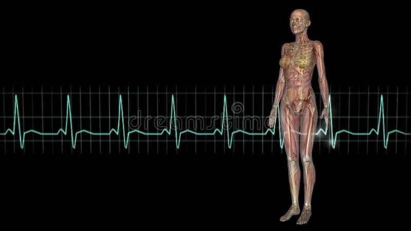 Female Lay Figure and Electrocardiogram Stock Footage - Video of pose ...