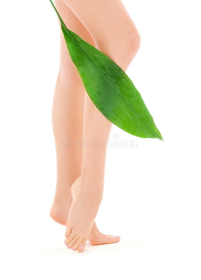 Female Legs with Green Leaf Stock Image - Image of healthcare, hygiene ...