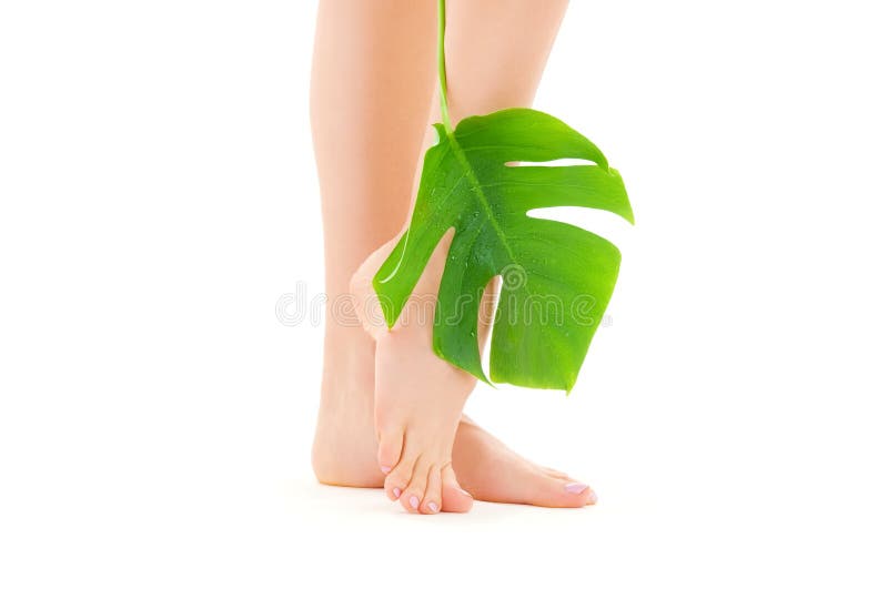Female Legs with Green Leaf Stock Photo - Image of freshness, female ...