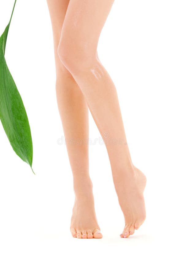 Female Legs with Green Leaf Stock Image - Image of bodycare, girl: 41762811