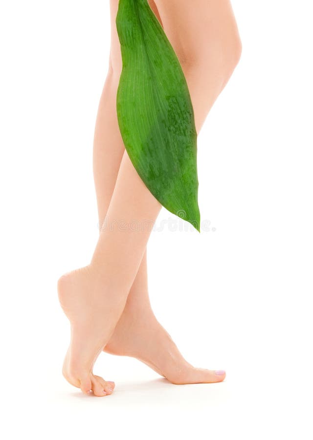 Female Legs with Green Leaf Stock Photo - Image of footcare, balance ...