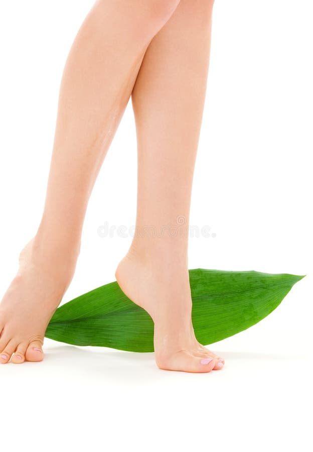 Female Legs with Green Leaf Stock Photo - Image of beautiful, green ...