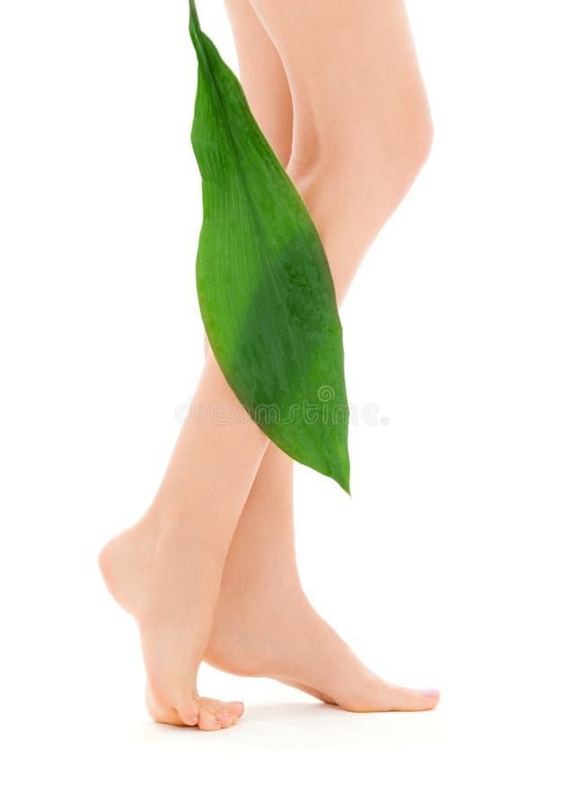 Female Legs with Green Leaf Stock Image - Image of green, living: 42324759
