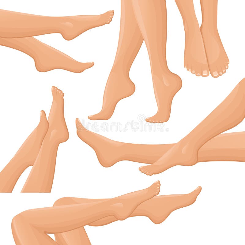 Female Legs Set stock vector. Illustration of cosmetic - 79294499
