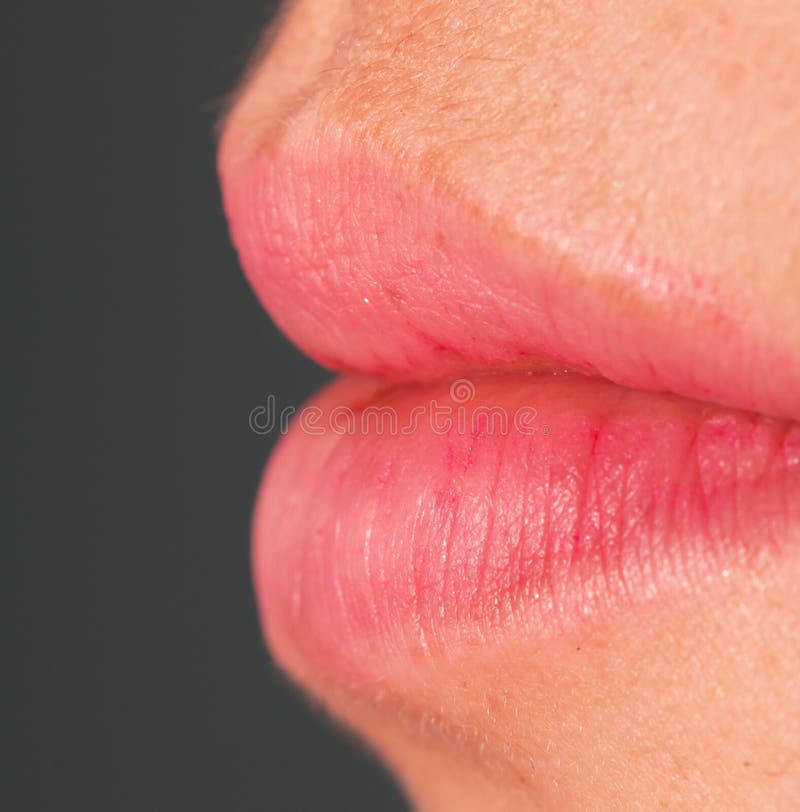 Female lips stock photo. Image of lipstick, healthy, female - 64427174