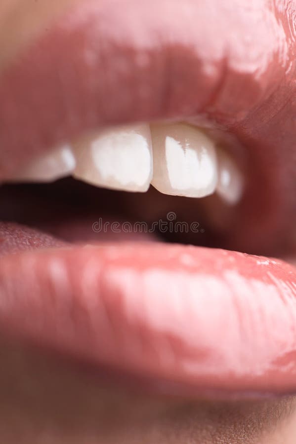 Female lips. stock photo. Image of vertical, woman, lips - 34564476