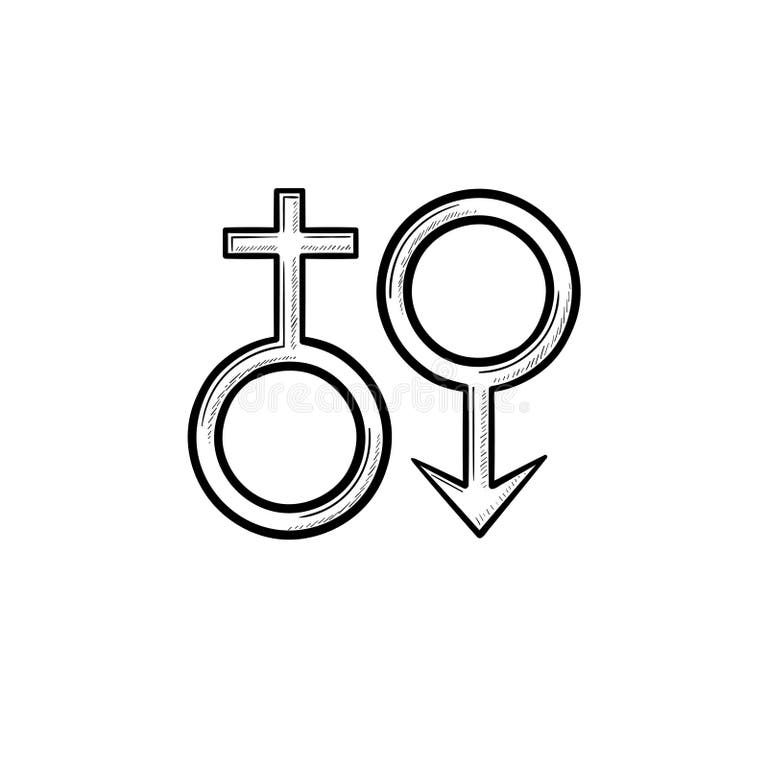 Hand Drawn Male Female Symbols Stock Illustrations 339 Hand Drawn