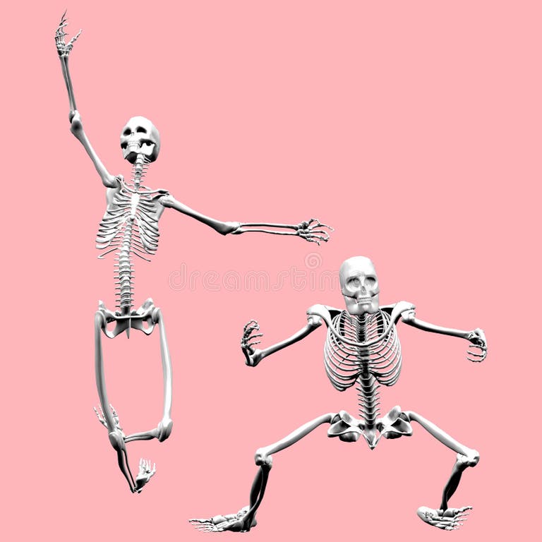 Human Skeletons Male Female Stock Illustrations 79 Human Skeletons