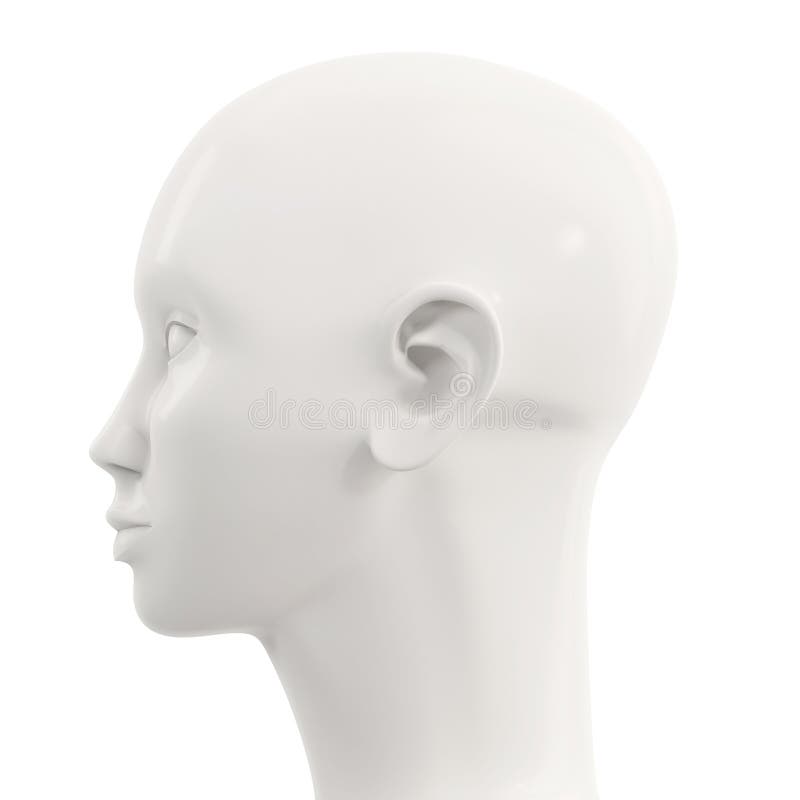 Female mannequin head stock illustration. Illustration of artificial ...