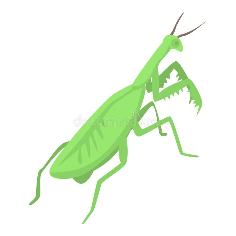 Female Mantis Icon, Cartoon Style Stock Vector - Illustration of bright ...