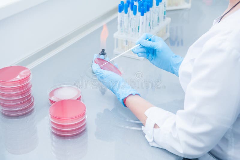 Female Medical or Scientific Laboratory Researcher Performs Tests ...