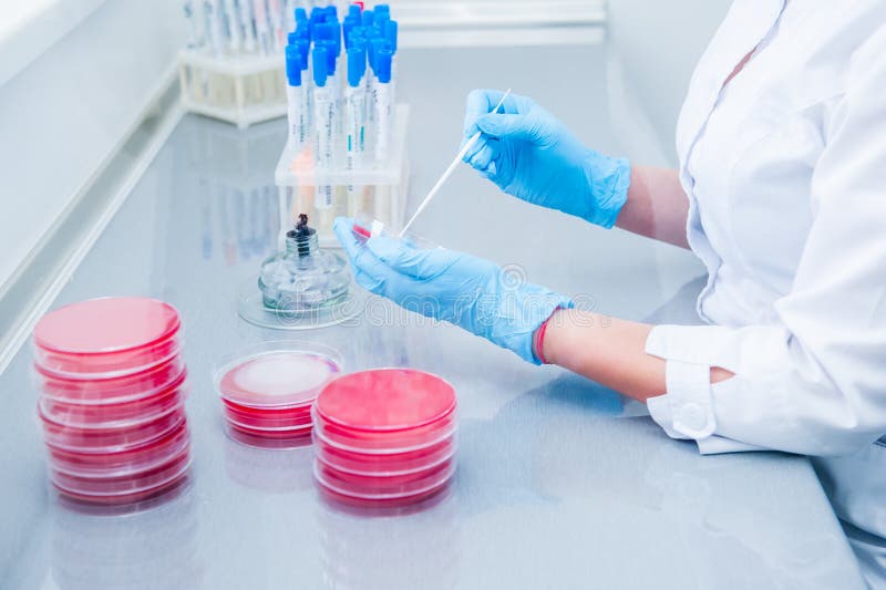 Female Medical or Scientific Laboratory Researcher Performs Tests ...