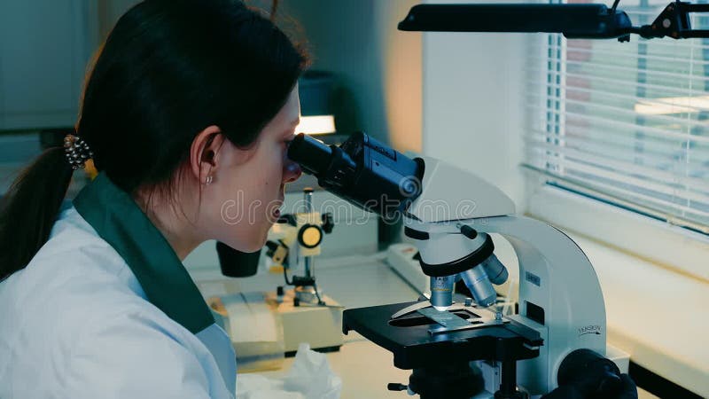 Female Microbiologist Looking for Bacteria Under a Microscope. a ...