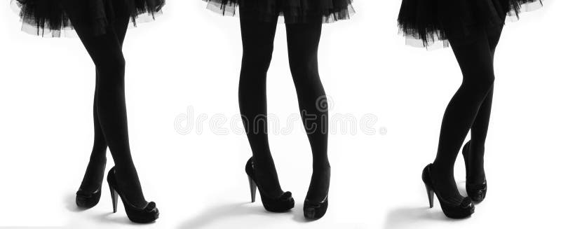 Female models legs stock photo. Image of feet, shows - 12047904