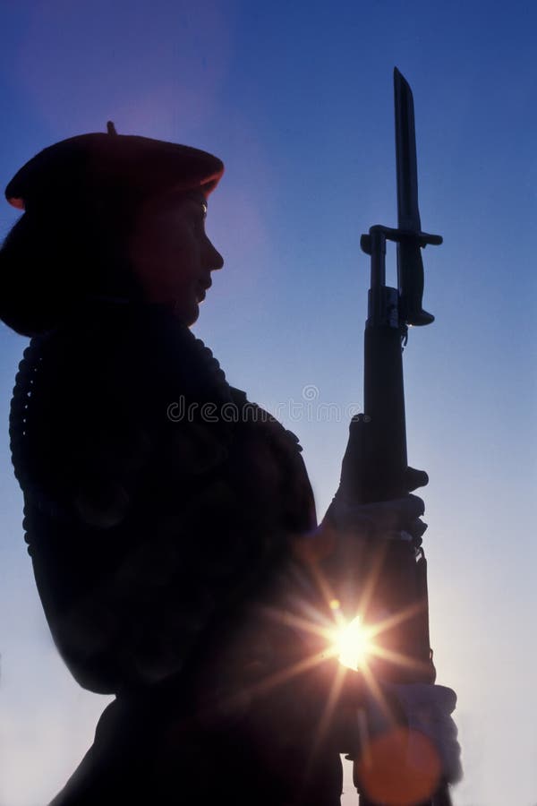 Female Navy Drill Team Member Stock Photo - Image of naval, routine ...