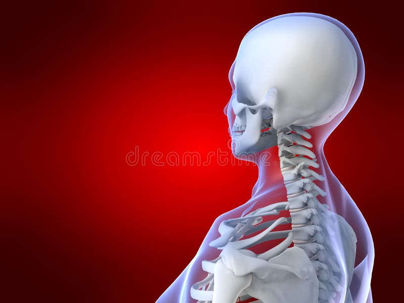 Female neck stock illustration. Illustration of woman - 3576974
