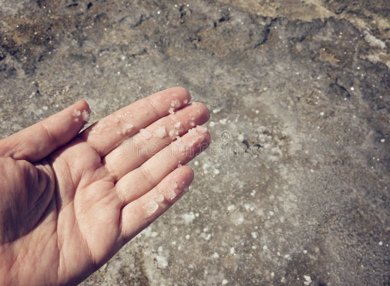 A Female Palm with Crystals of Natural Maltese Salt Stock Image - Image ...