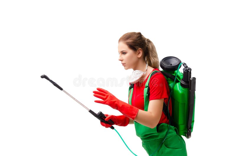 The Female Pest Control Contractor Isolated on White Stock Image ...