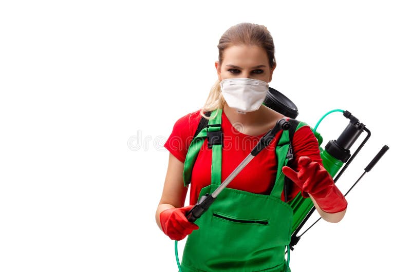 The Female Pest Control Contractor Isolated on White Stock Photo ...