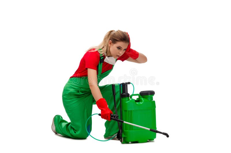 Female Pest Control Contractor Isolated on White Stock Image - Image of ...