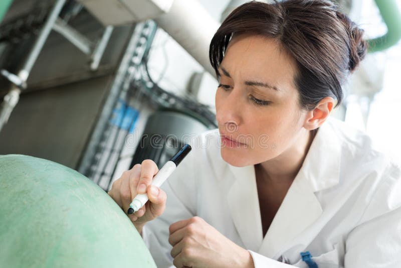 Female Pharmacist Doing daily Duties Stock Photo - Image of working ...