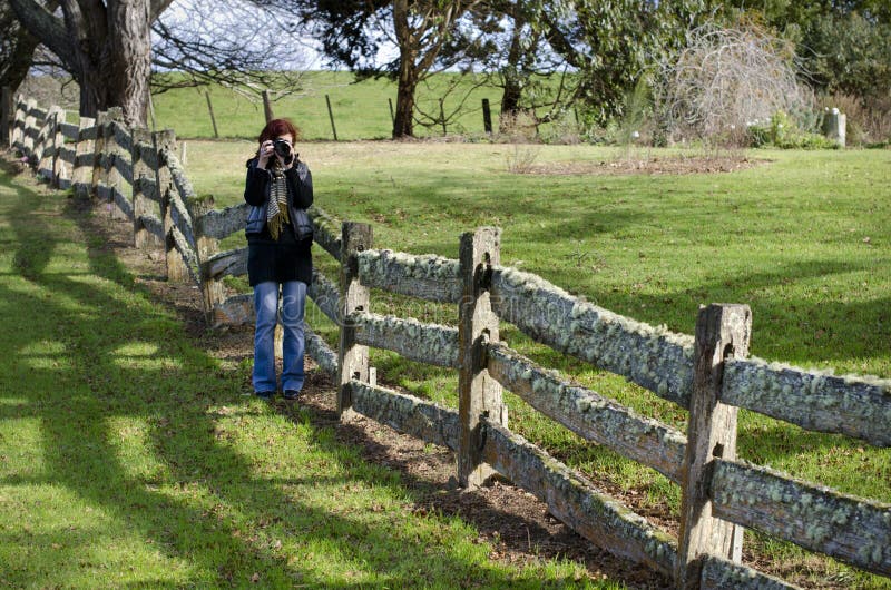 Female Photographer at Old Post and Rail Fence Stock Image - Image of ...