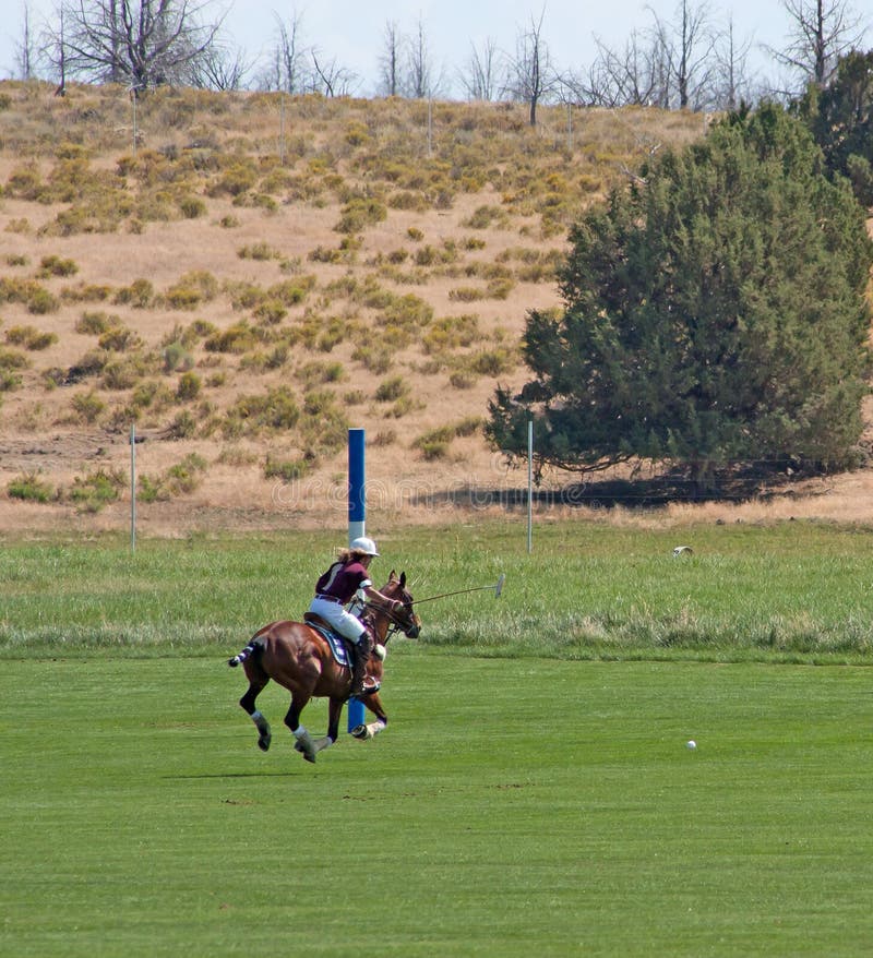 Female Polo Player Heading for Goal Editorial Image - Image of polo ...