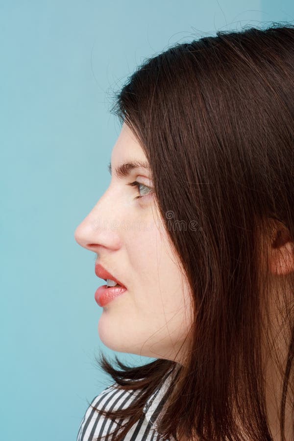 Female profile stock photo. Image of style, portrait, facial - 8238446