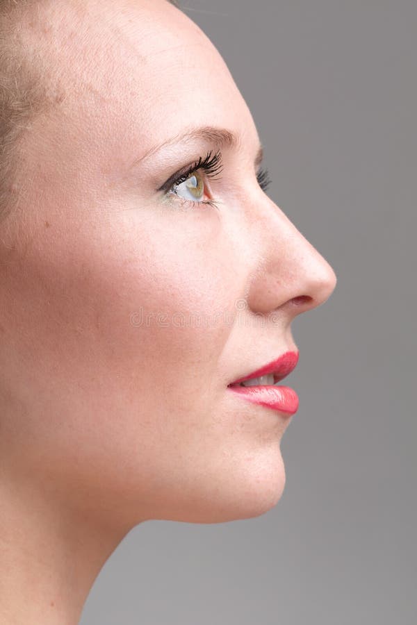 Female profile stock photo. Image of style, portrait, facial - 8238446