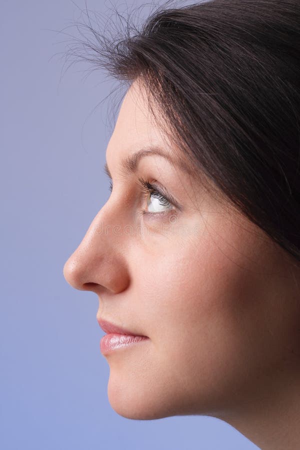 Female profile stock image. Image of lady, style, brunette - 8287495