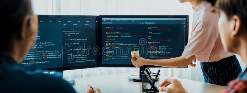 Female Programer Present Program Coding while Manager Listening ...